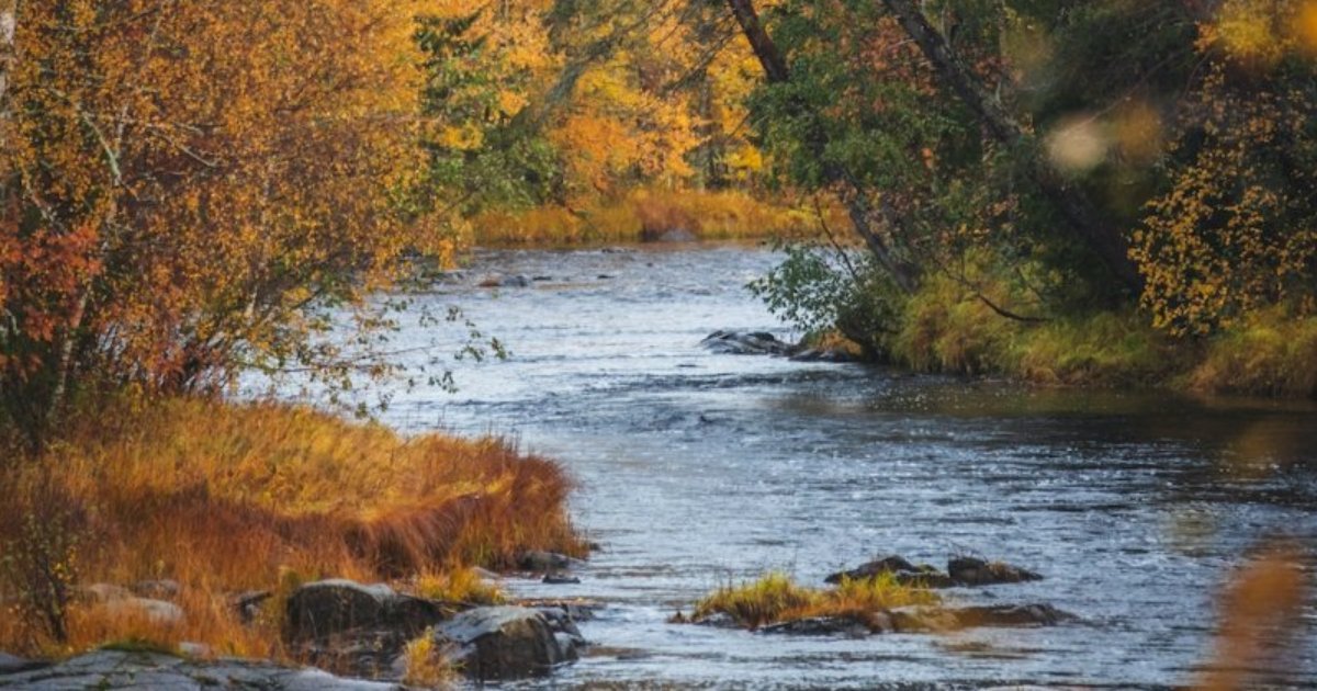 Kanjon reke Kokre - KrOdDoma